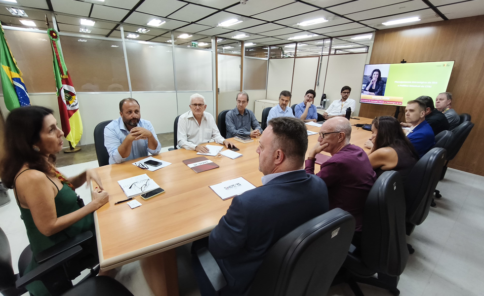 SINEPE/RS e Governo do Estado discutem parcerias estratégicas para 2026 ...